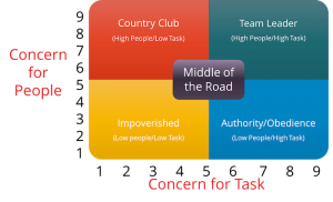 Leadership Grid and How It affects Small Businesses | Sinnaps