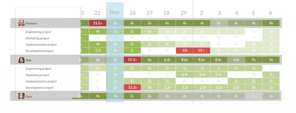 Resource Gantt Chart: Optimize your Project's Resources | Sinnaps Resource Gantt Chart: Optimize your Project's Resources | Sinnaps