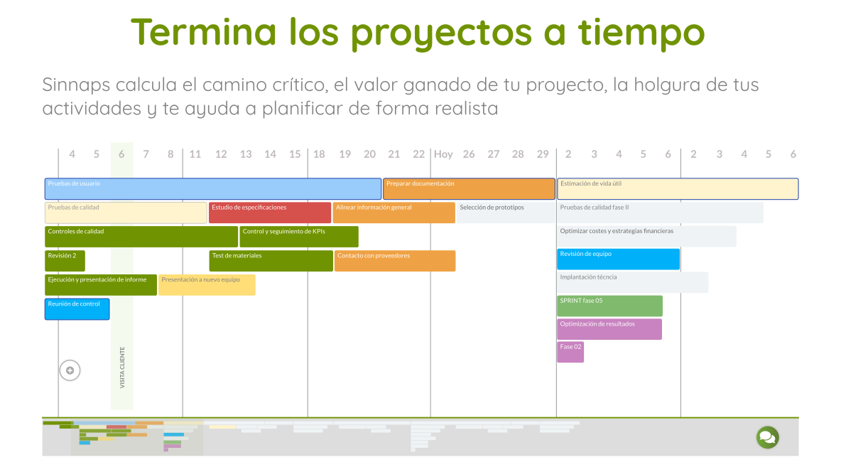 Sinnaps, gestor de proyectos