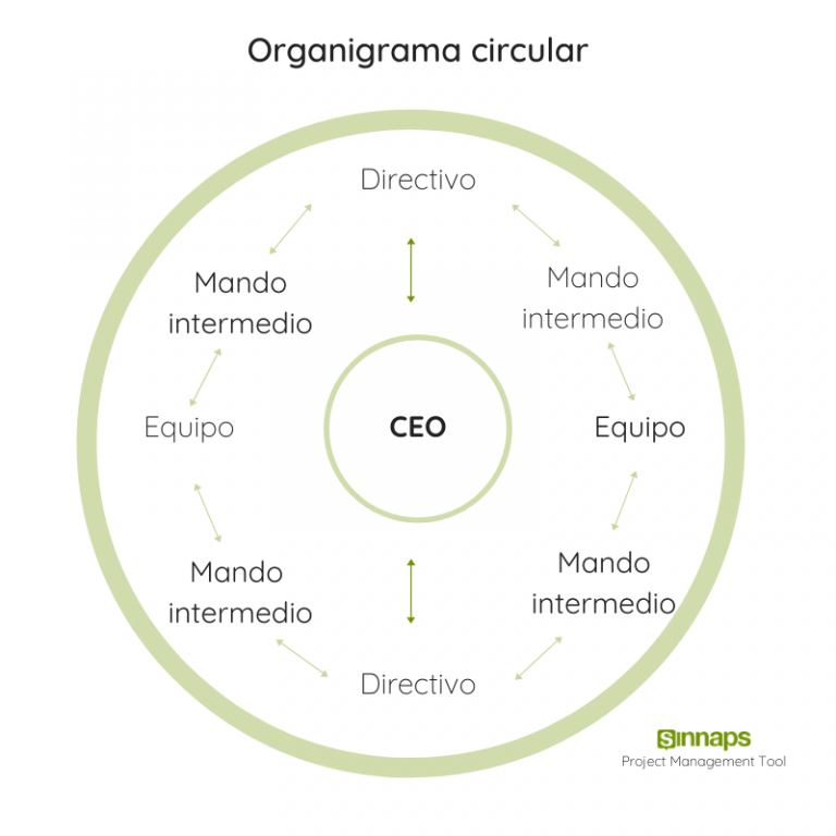 Organigrama circular: ¿cómo funciona con un ejemplo real? | Sinnaps
